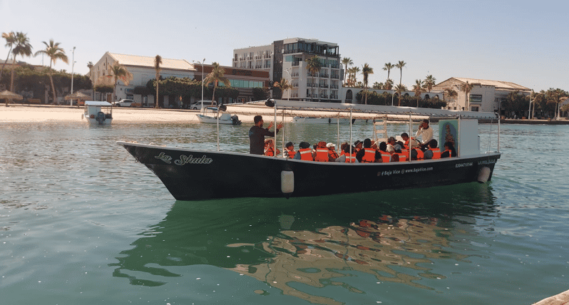 La Paz: Paseo en barco a la isla espíritu santo y balandra | GetYourGuide