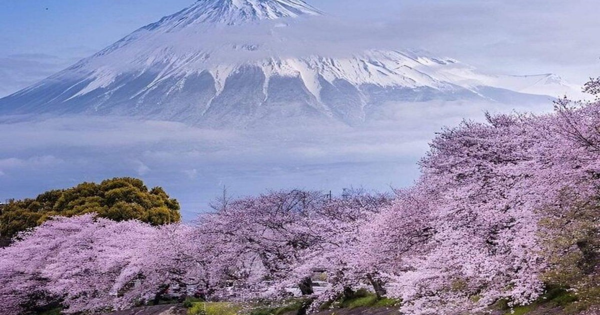 Tour panoramico privato di un giorno del Monte Fuji e di Hakone | GetYourGuide