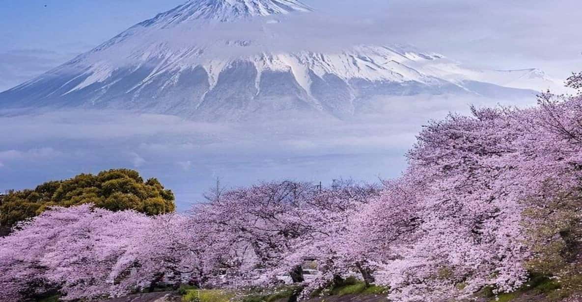 Tóquio: Excursão turística privada de 1 dia ao Monte Fuji e Hakone | GetYourGuide