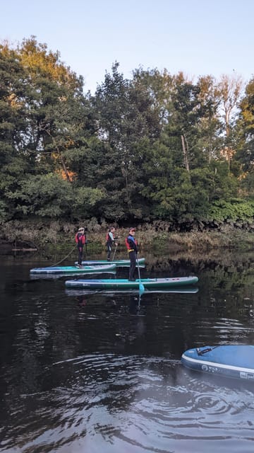 Perth City Paddleboard Tour | GetYourGuide