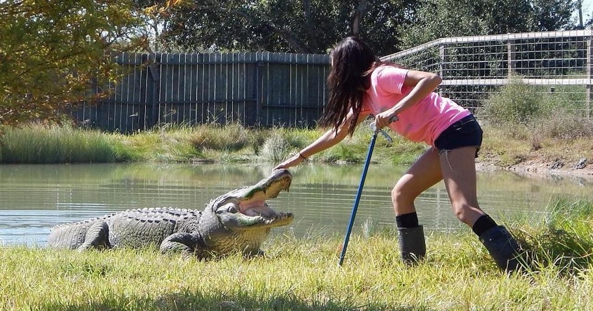 Desde Houston: Crocodile Encounter Ticket de entrada | GetYourGuide