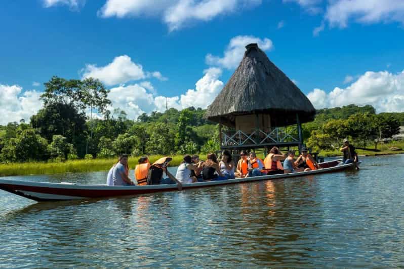 From Cusco | Manu Jungle Excursion 7D/6N | Wonders of Manu | GetYourGuide