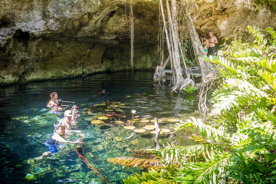 Tulum: Grand Cenote, Cristalino and Xtun Cenote Caverns Tour | GetYourGuide
