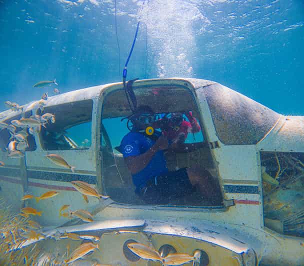 Nassau: Sun Cay Day Trip, Snorkel, Iguana Encounter, & Lunch | GetYourGuide