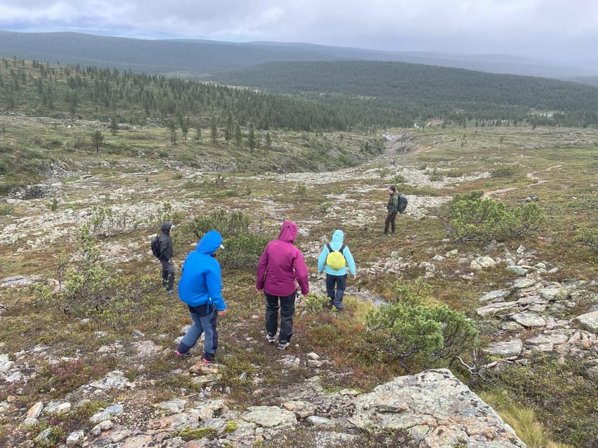 Inari: Hiking Tour to Inari Wilderness | GetYourGuide