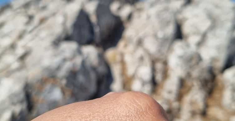 Naxos: Mount Zeus Guided Hike Experience | GetYourGuide
