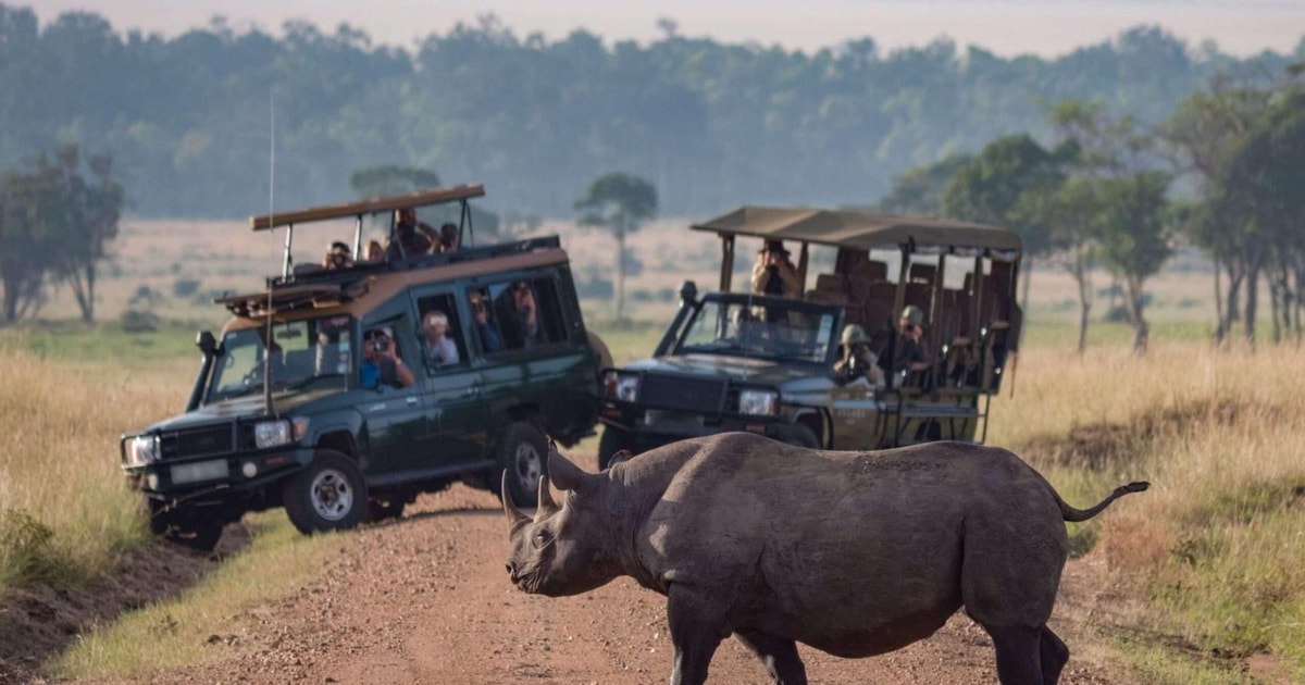 4-Day Ol Pejeta, Aberdare,& Solio Ranch Safari on 4x4 Jeep | GetYourGuide