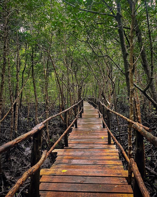 Zanzibar: Jozani Forest and Spice Farm Tour With Transfer | GetYourGuide