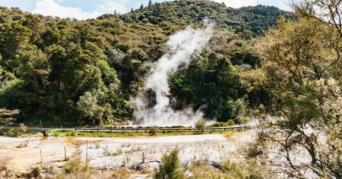 Rotorua: Waimangu Volcanic Valley Ticket & Self-Guided Walk | GetYourGuide