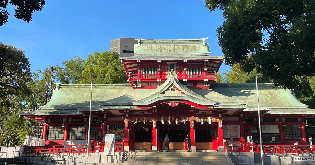 Tokyo: Taste the downtown echo and enjoy Japanese culture | GetYourGuide