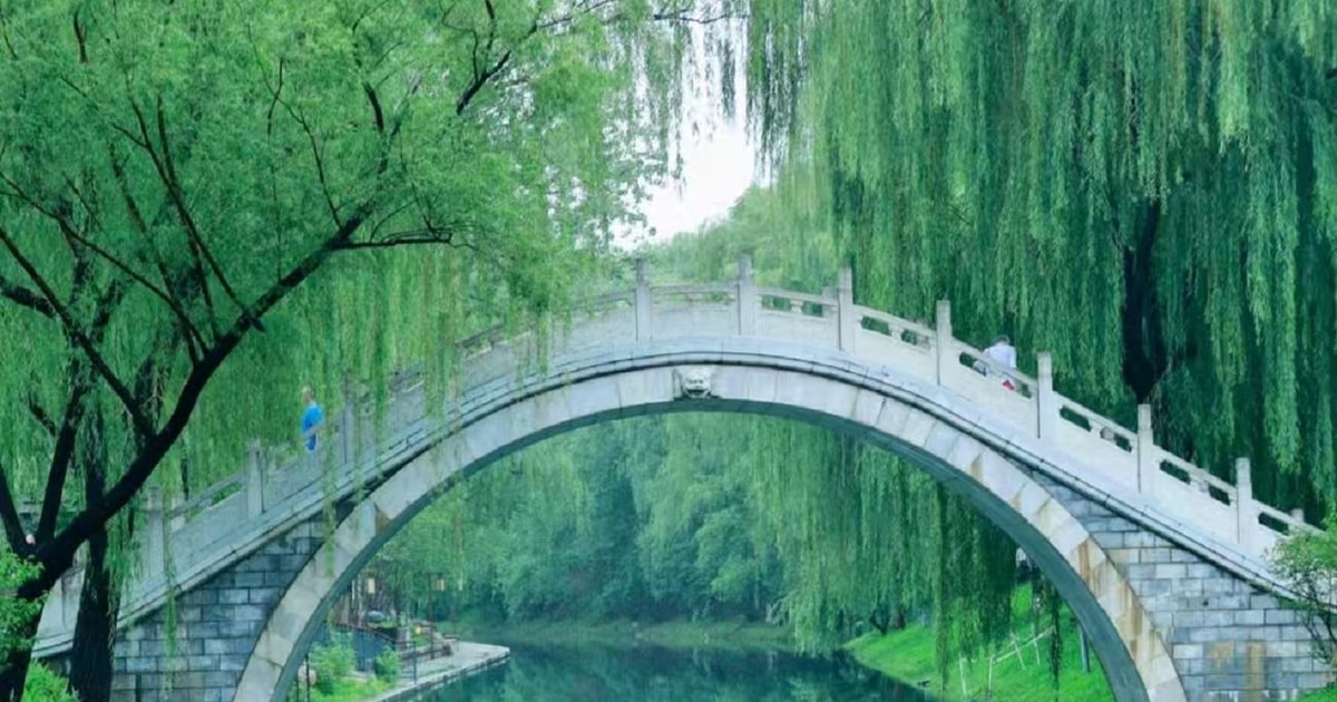 Beijing: Purple Bamboo Park Botanical Tour with ExpertGuides | GetYourGuide