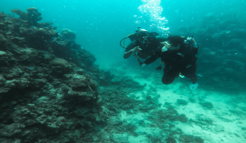 Jeddah Explore Dive: in the Majestic Red Sea | GetYourGuide