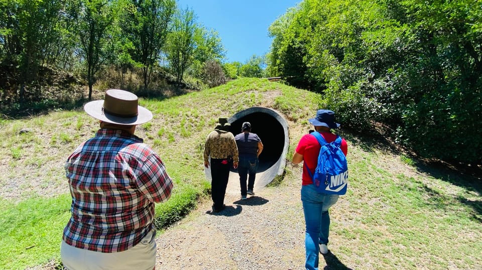 Monterrey: Aventura Safari en el Bioparque Estrella | GetYourGuide