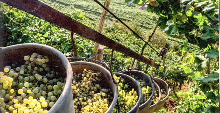 Prosecco Wine Tour And Tasting Along The Unesco Hills Getyourguide