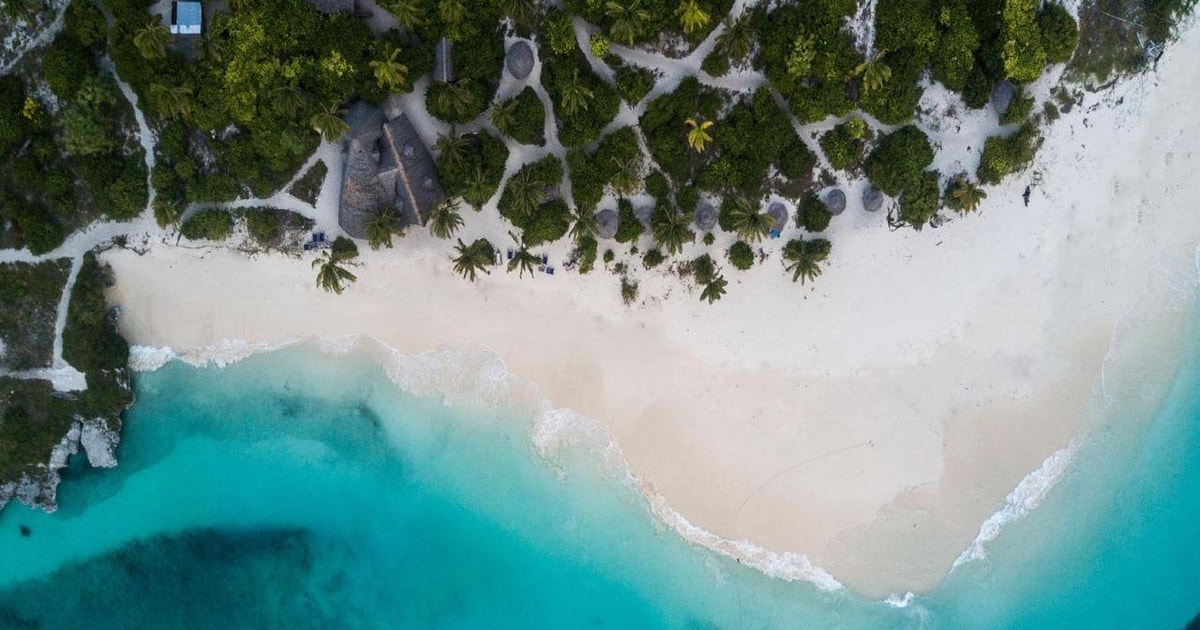 Kuza Cave Tour, Monkey Tour, Stone Town Tour with Lunch | GetYourGuide