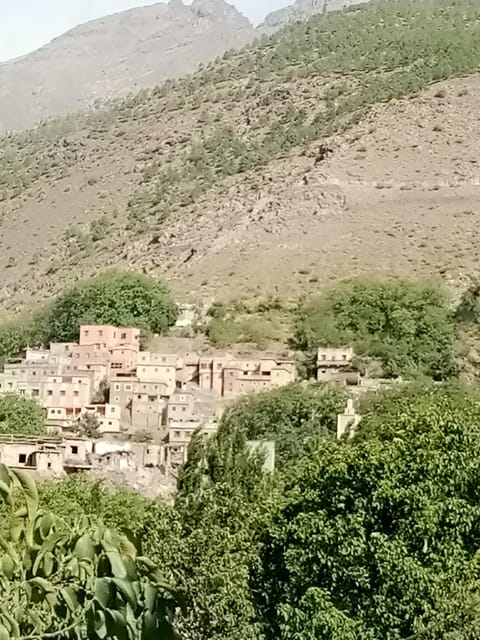 4 hours hiking in imlil Valley | GetYourGuide