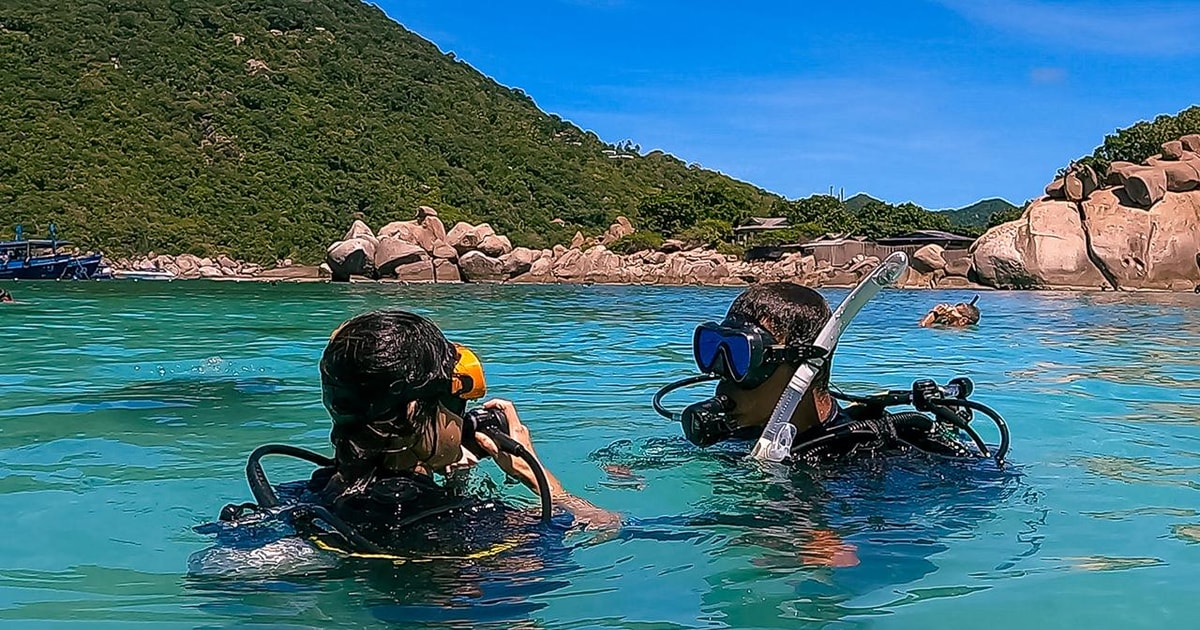 1-Day Discover Scuba Diving for Beginners in Koh Tao | GetYourGuide