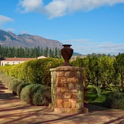 Full day Winelands Tour | GetYourGuide