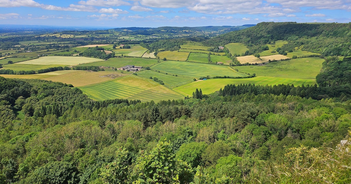 From York: North Yorkshire Moors, Steam Train and Whitby | GetYourGuide