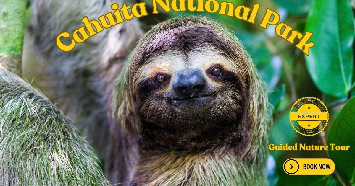 Costa Rica: Escursione guidata nel Parco Nazionale di Cahuita ...