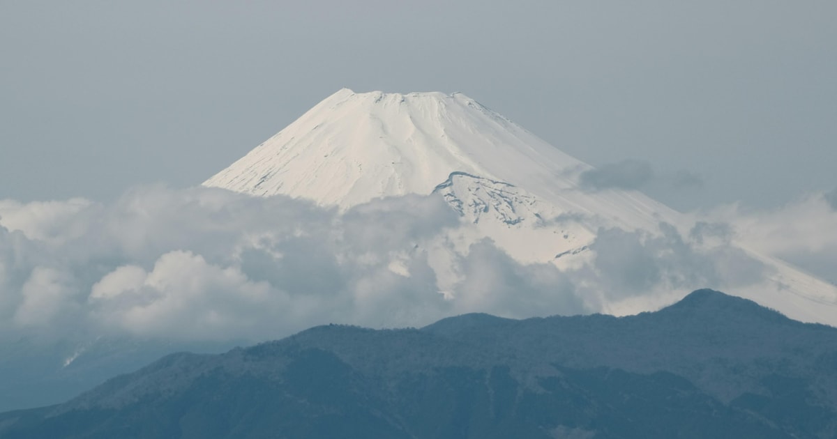 Private Mt Rainier National Park Day Tour Glacier Waterfalls | GetYourGuide