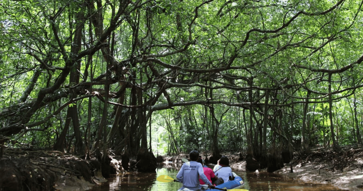 Khao Lak: Excursión al Parque Nacional Sri Phang Nga y Takuapa | GetYourGuide