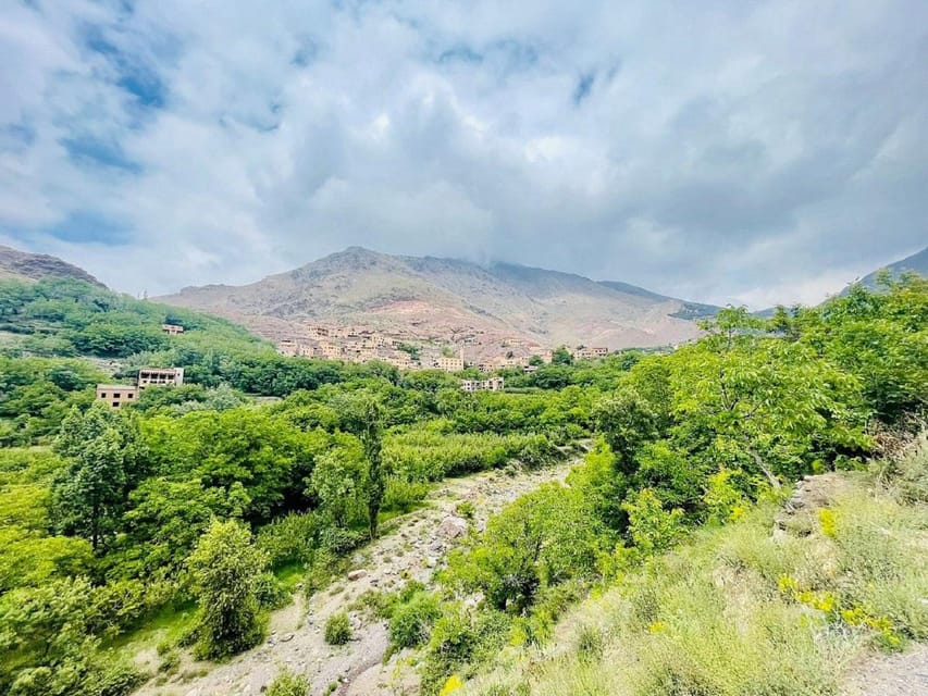 Excursión de un día al Atlas y pueblos bereberes | GetYourGuide