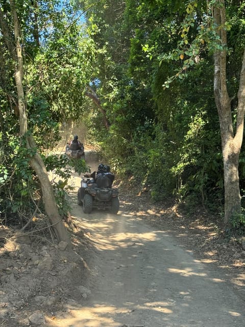 Puerto Rico: Hacienda Campo Rico ATV Experience with Pickup | GetYourGuide