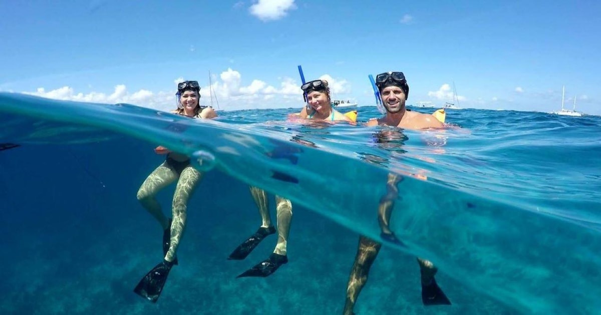 Cancun: Snorkeling Tour with Hotel Pickup | GetYourGuide
