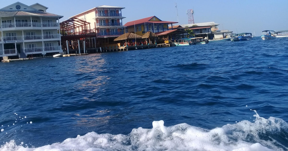 Bocas del Toro: Zapatilla Key, Dolphin Bay, Coral Key | GetYourGuide