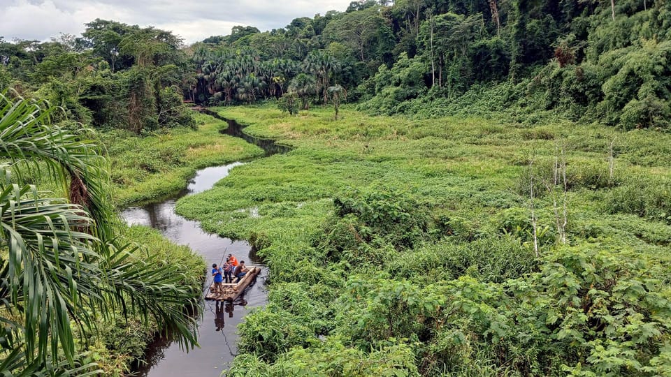 Jungle + Amazon River Excursion 4 Days | GetYourGuide