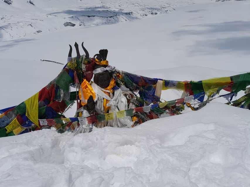 From Pokhara : Budget 6 Night 7 Day Annapurna Basecamp Trek | GetYourGuide