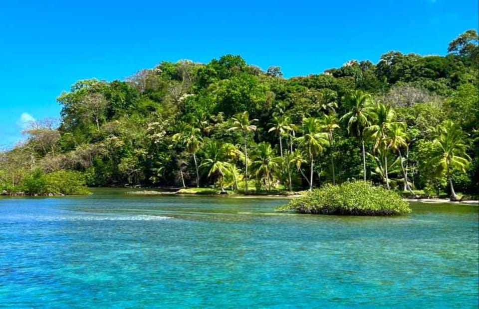 Disfruta de playas paradisíacas situadas en colón | GetYourGuide