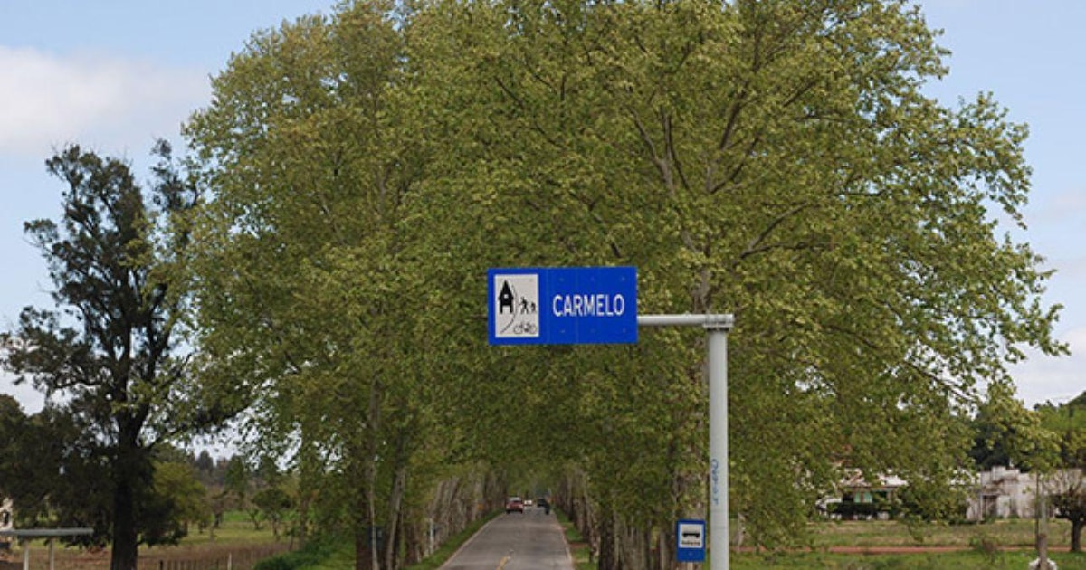 Private Transfer Colonia to Carmelo (or vice - versa) | GetYourGuide