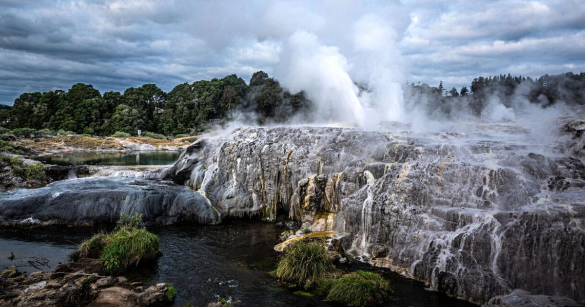 From Auckland: Rotorua Te Puia, Haka & Polynesian Spa Tour | GetYourGuide