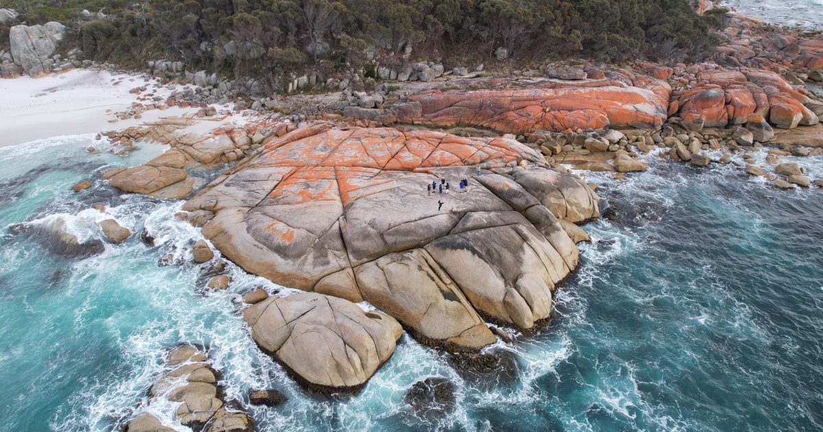 Tasmania: (New tour) 6-Day Small Group Nature-based Tour | GetYourGuide