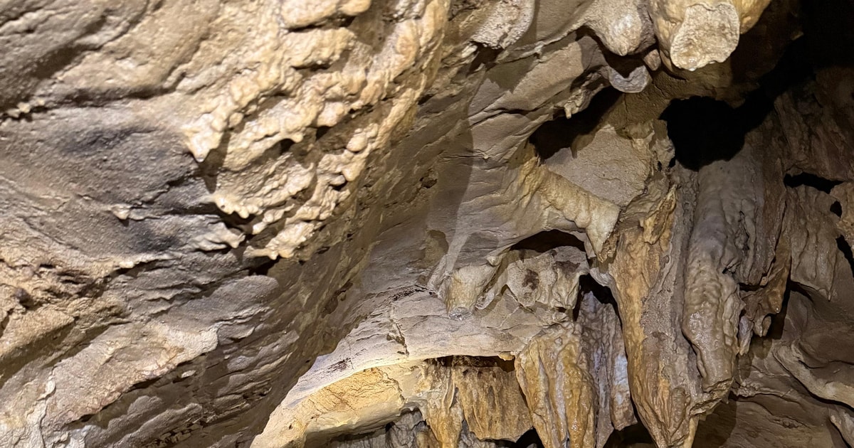 Venado Caves Guided Tour | GetYourGuide