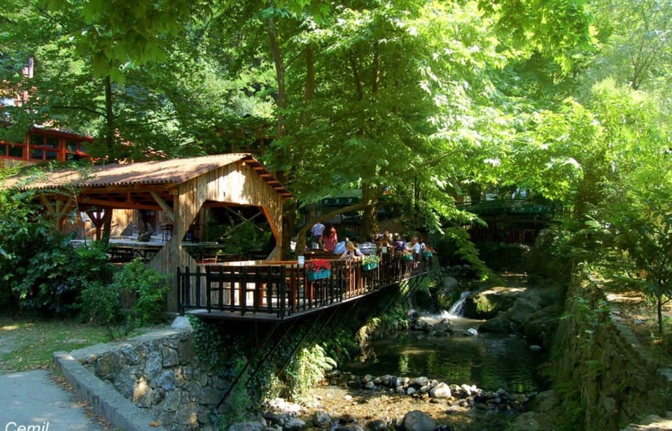 From Istanbul: Guided Day Trip to Sapanca and Masukiye | GetYourGuide