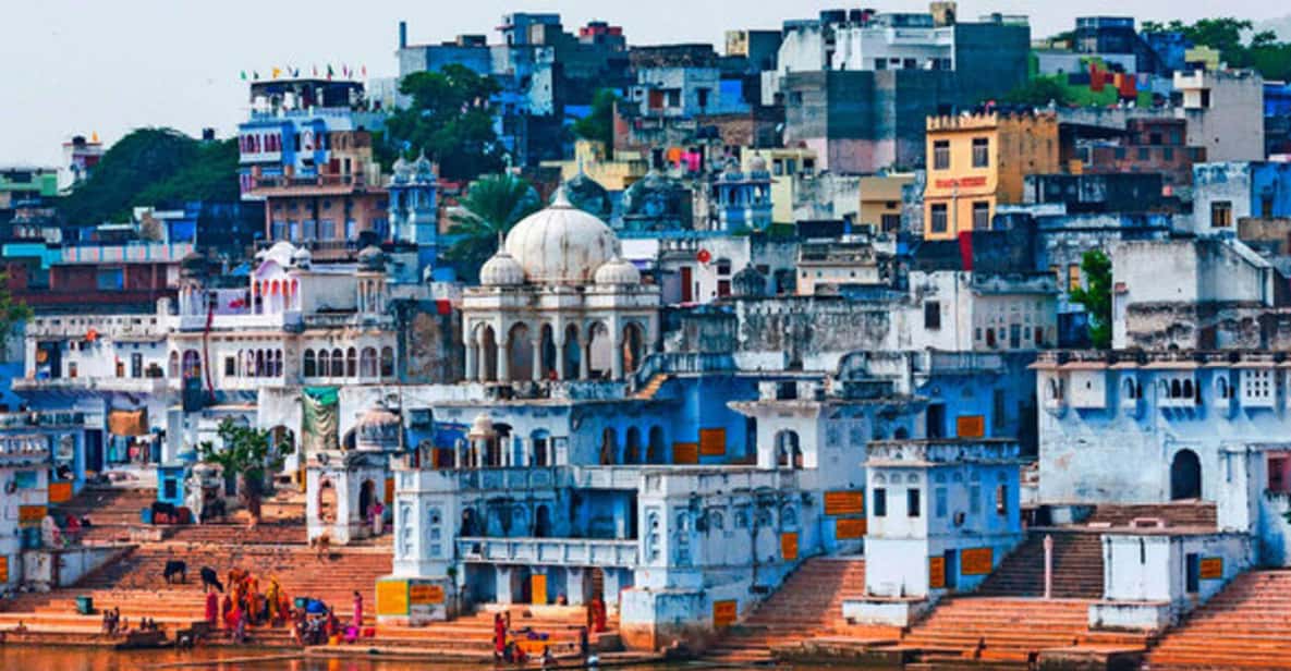 Excursión de un Día Desde Pushkar Sin Guía | GetYourGuide