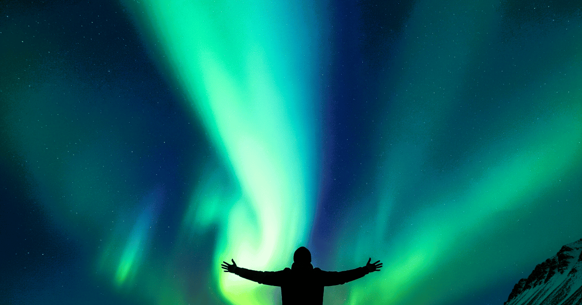 Tromsø: A Sámi Survival Story and Aurora Hunt | GetYourGuide