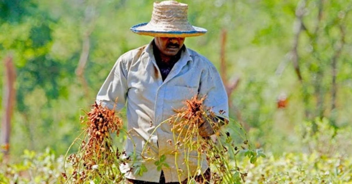 Spedizione nei villaggi di Yala dal porto di Hambantota in Tuk-Tuk ...