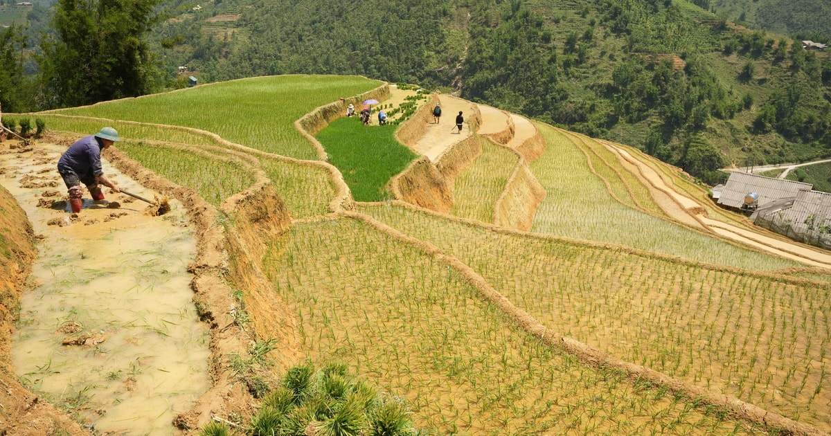 Sapa Half Day hard trekking villages trip with lunch & guide | GetYourGuide