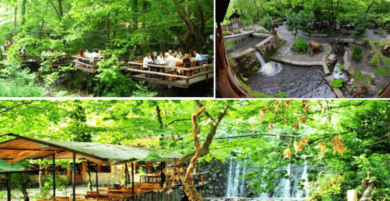 From Istanbul: Sapanca and Masukiye Day Trip with Lunch | GetYourGuide