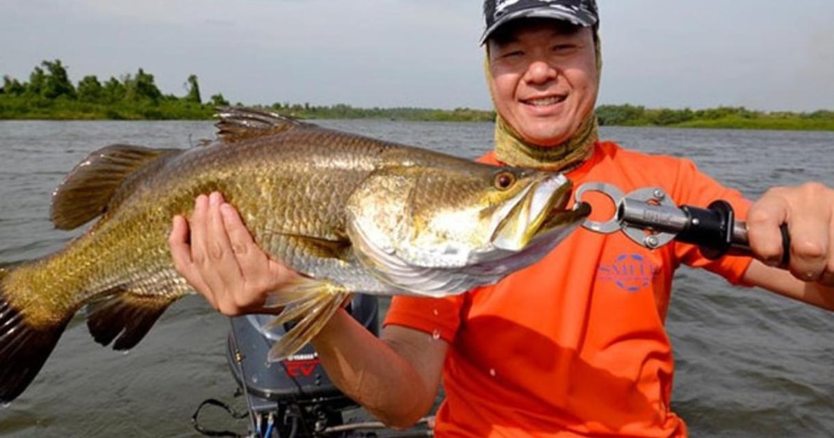 Colombo: Lake Fishing & BBQ Dinner by the Lake | GetYourGuide