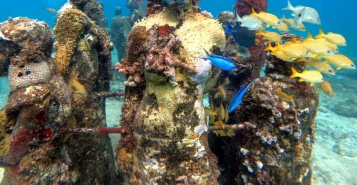Cancun: Musa Underwater Museum and Reef Scuba Diving Tour | GetYourGuide