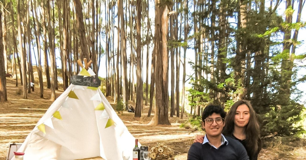 Cusco: Qenqo + Picnic + Painting | GetYourGuide