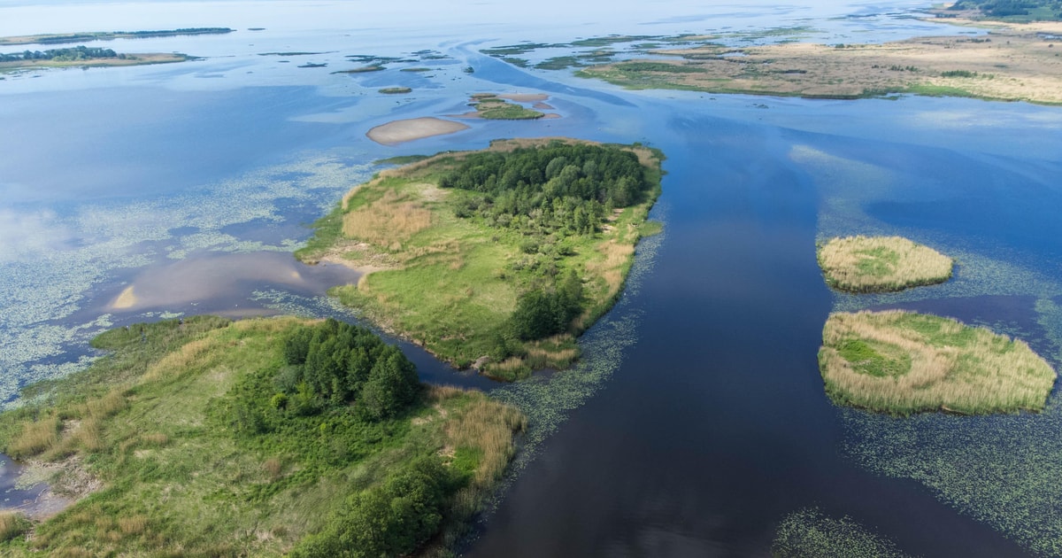Nida: Bird-Watching Adventure in Nemunas Delta | GetYourGuide