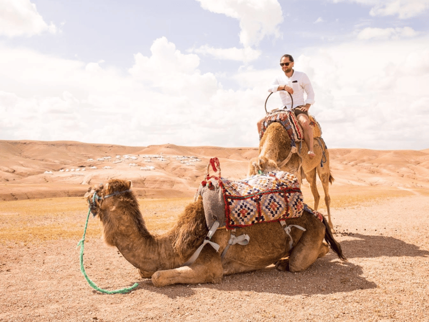 Marrakech:tour’s Agafay Desert camel ride with sunset | GetYourGuide