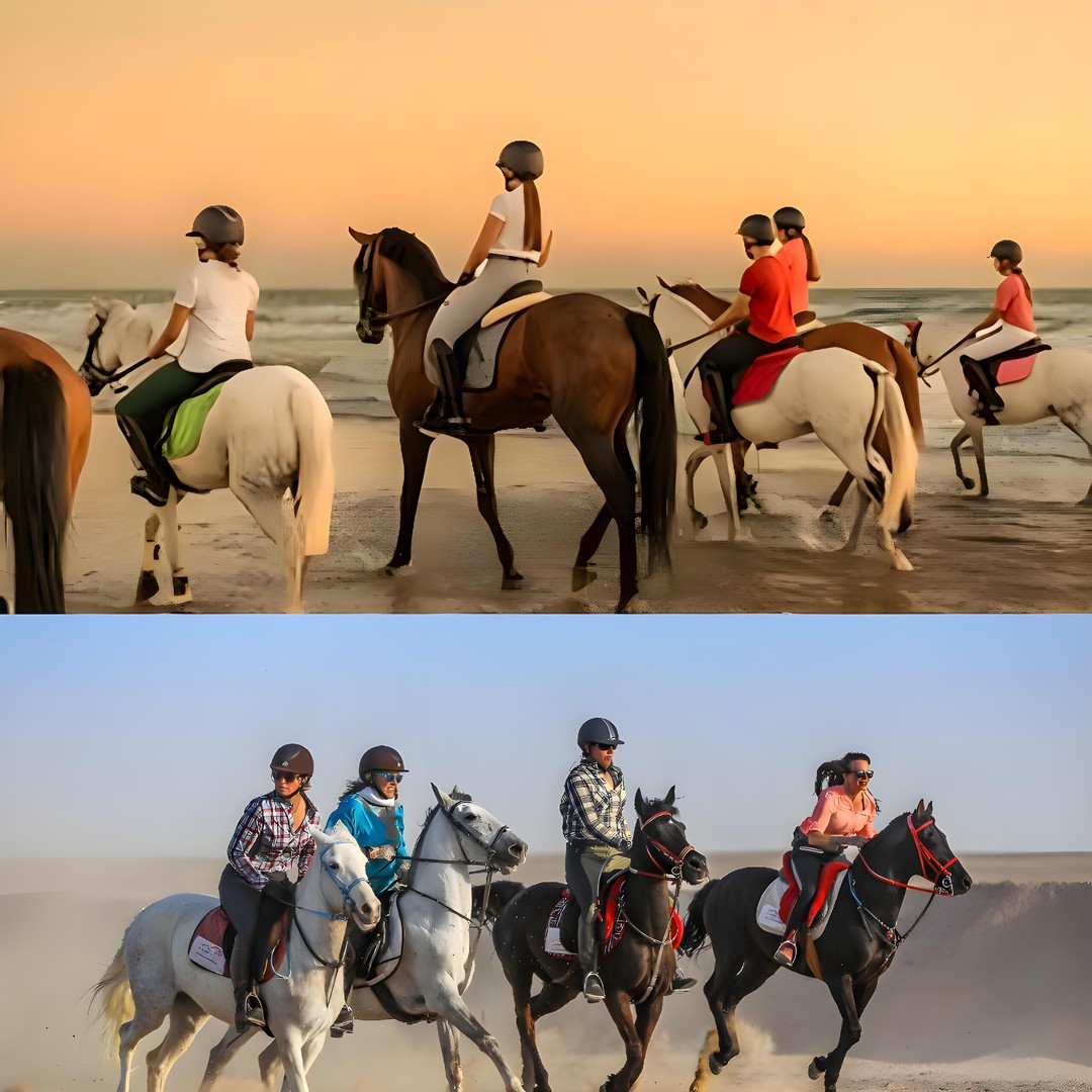 Doha: Horse Riding Experience in the Desert of Qatar | GetYourGuide