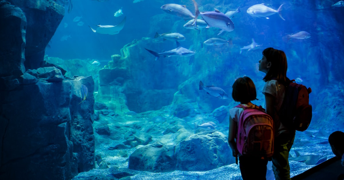 Paris: Aquarium de Paris Entrance Ticket | GetYourGuide